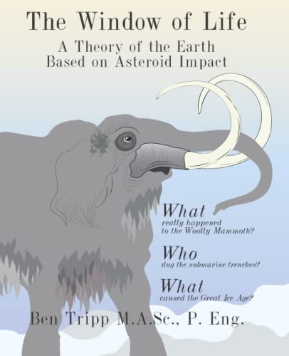 The Window of Life by Ben Tripp | Goodreads