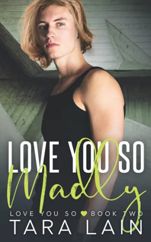 Love You So Madly: A Falling-for-the-Handyman MM Romance by Tara Lain ...