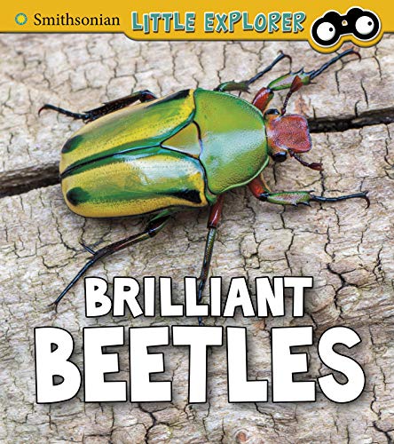 Brilliant Beetles by Melissa Higgins | Goodreads
