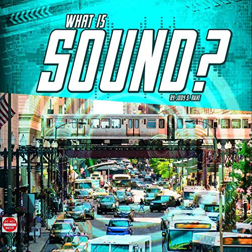 What Is Sound? (First Facts: Science Basics) by Jody Sullivan Rake ...