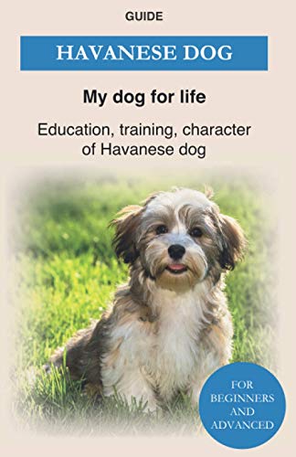 Havanese Dog: Education, training, character of Havanese Dogs - The Havanese Book by My dog for ...