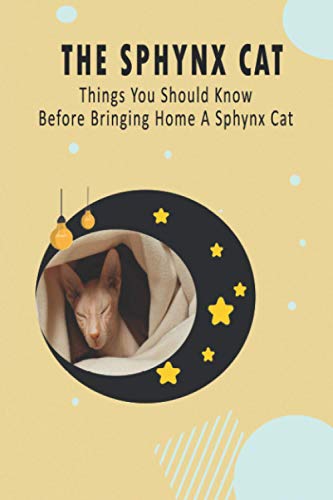 The Sphynx Cat_ Things You Should Know Before Bringing Home A Sphynx ...