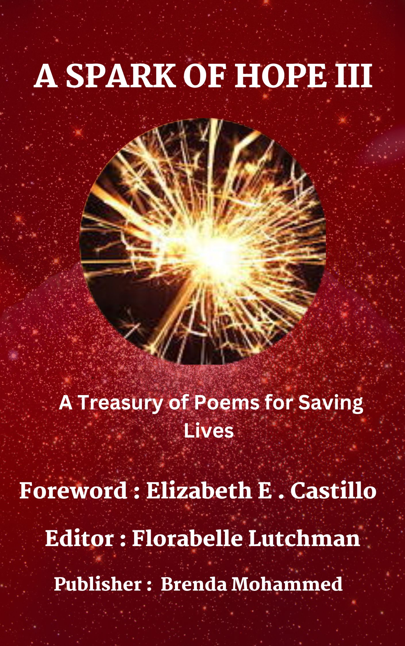 A SPARK OF HOPE III: A Treasury of Poems for Saving Lives by Brenda C ...