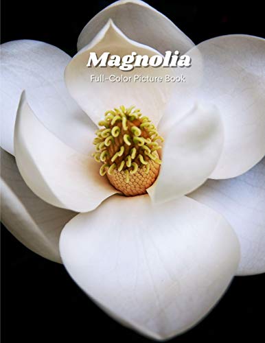 Magnolia Full-Color Picture Book: Flower Picture Book for Children ...