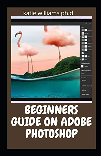 BEGINNERS GUIDE ON ADOBE PHOTOSHOP: Essential Manual on Image Editing ...