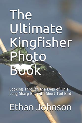 The Ultimate Kingfisher Photo Book: Looking Through the Eyes of This ...