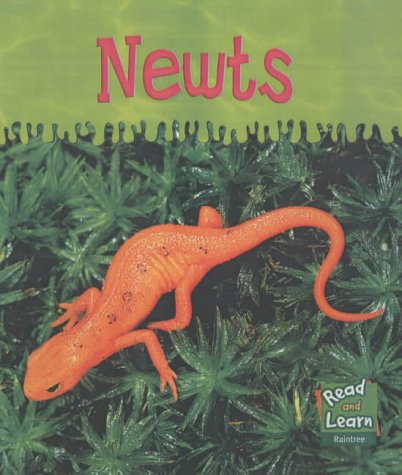 Newts (Read and Learn) by Lola M. Schaefer | Goodreads