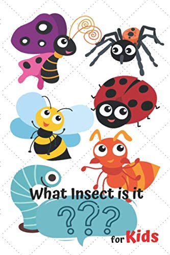 What Insect is it??? For Kids (Guessing Game for kids) by R. Rose ...