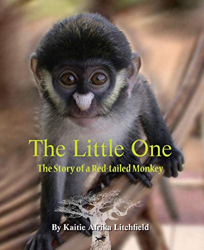 The Little One by Kaitie Afrika Litchfield | Goodreads