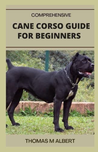 COMPREHENSIVE CANE CORSO GUIDE FOR BEGINNERS: The Ultimate Guide On ...
