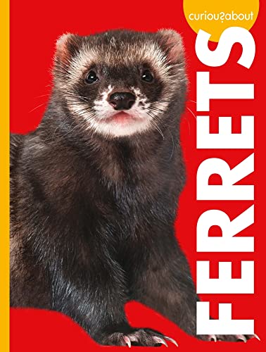 Curious About Ferrets (Curious About Pets) by Alissa Thielges | Goodreads