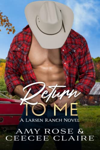Return to Me by Amy Rose | Goodreads