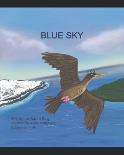 Blue Sky by Sarah King | Goodreads