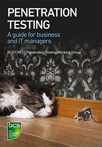 Penetration Testing: A guide for business and IT managers by Nick ...