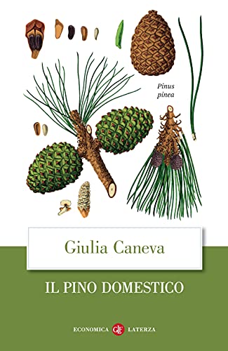 Il pino domestico (Italian Edition) by Giulia Caneva | Goodreads