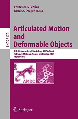 Articulated Motion and Deformable Objects: Third International Workshop ...