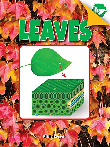 Rourke Educational Media Leaves by Alicia Klepeis | Goodreads