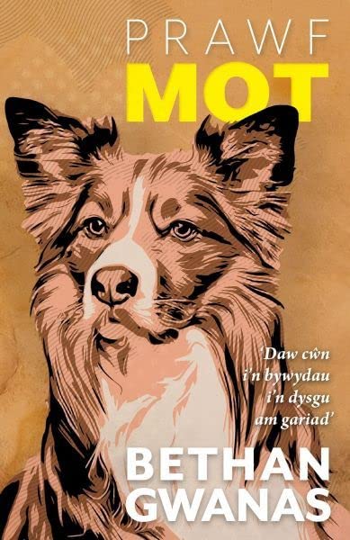 Prawf Mot (Welsh Edition) by Bethan Gwanas | Goodreads