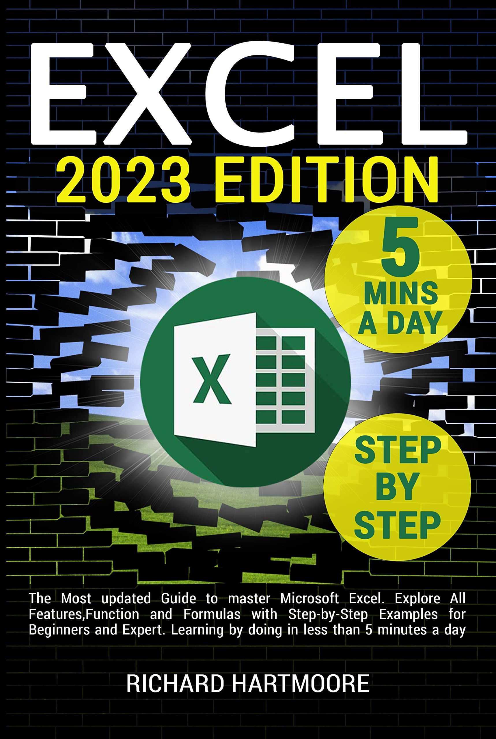 EXCEL: The Most Updated Guide to Master Microsoft Excel.Explore All Features, Function and ...