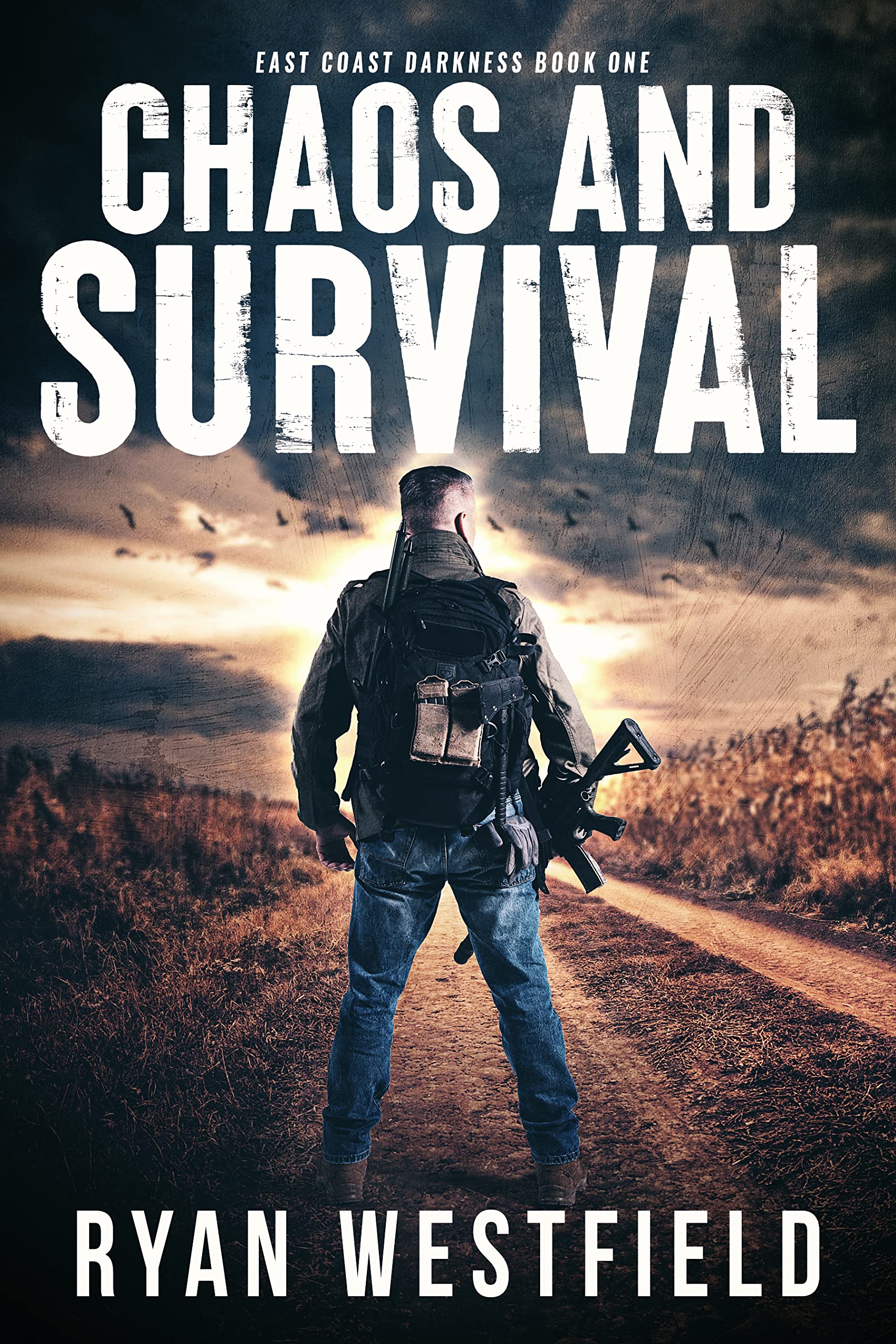 Chaos and Survival : A Post-Apocalyptic EMP Survival Thriller by Ryan Westfield | Goodreads
