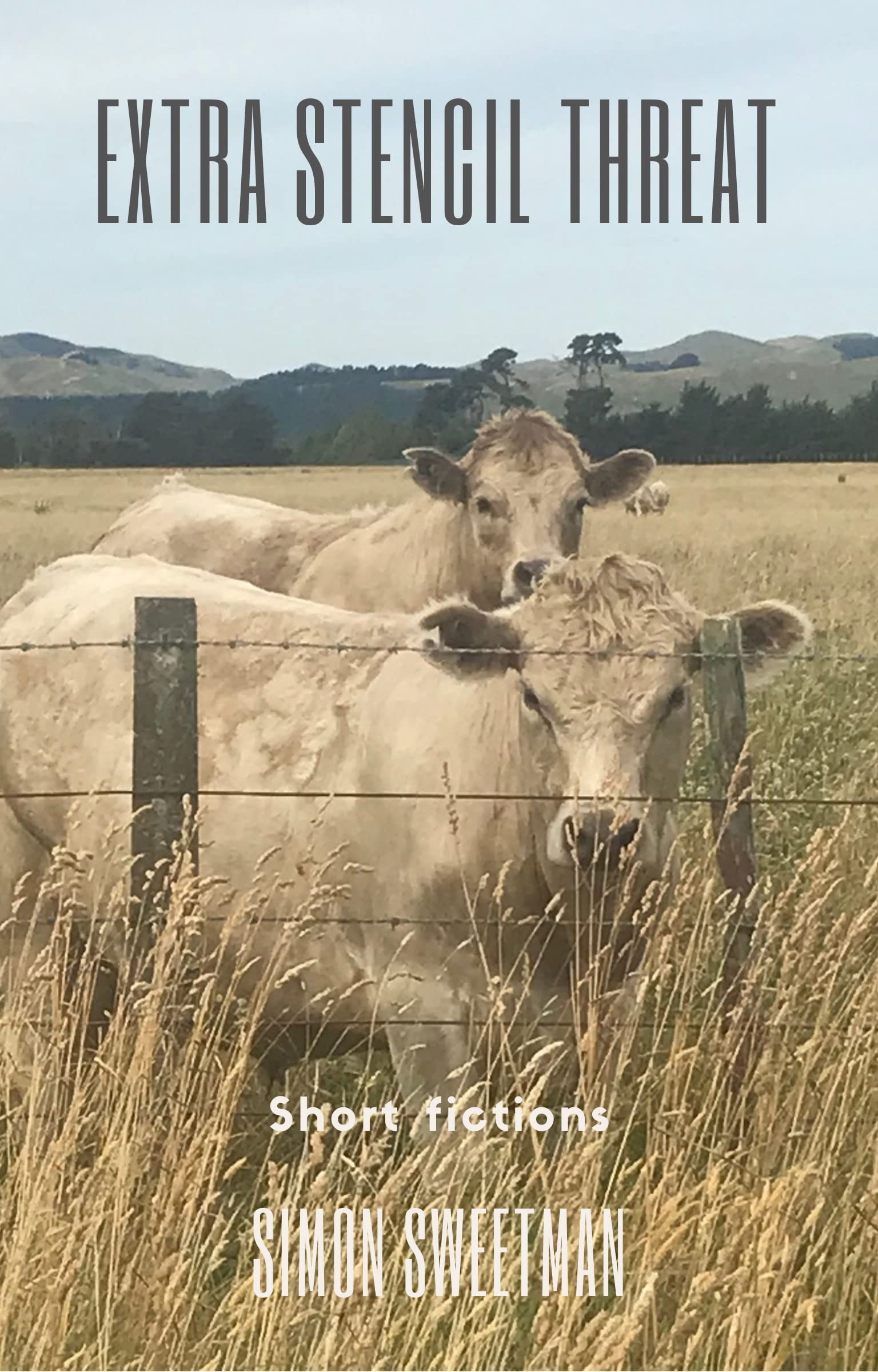 Extra Stencil Threat: Short Fictions by Simon Sweetman | Goodreads