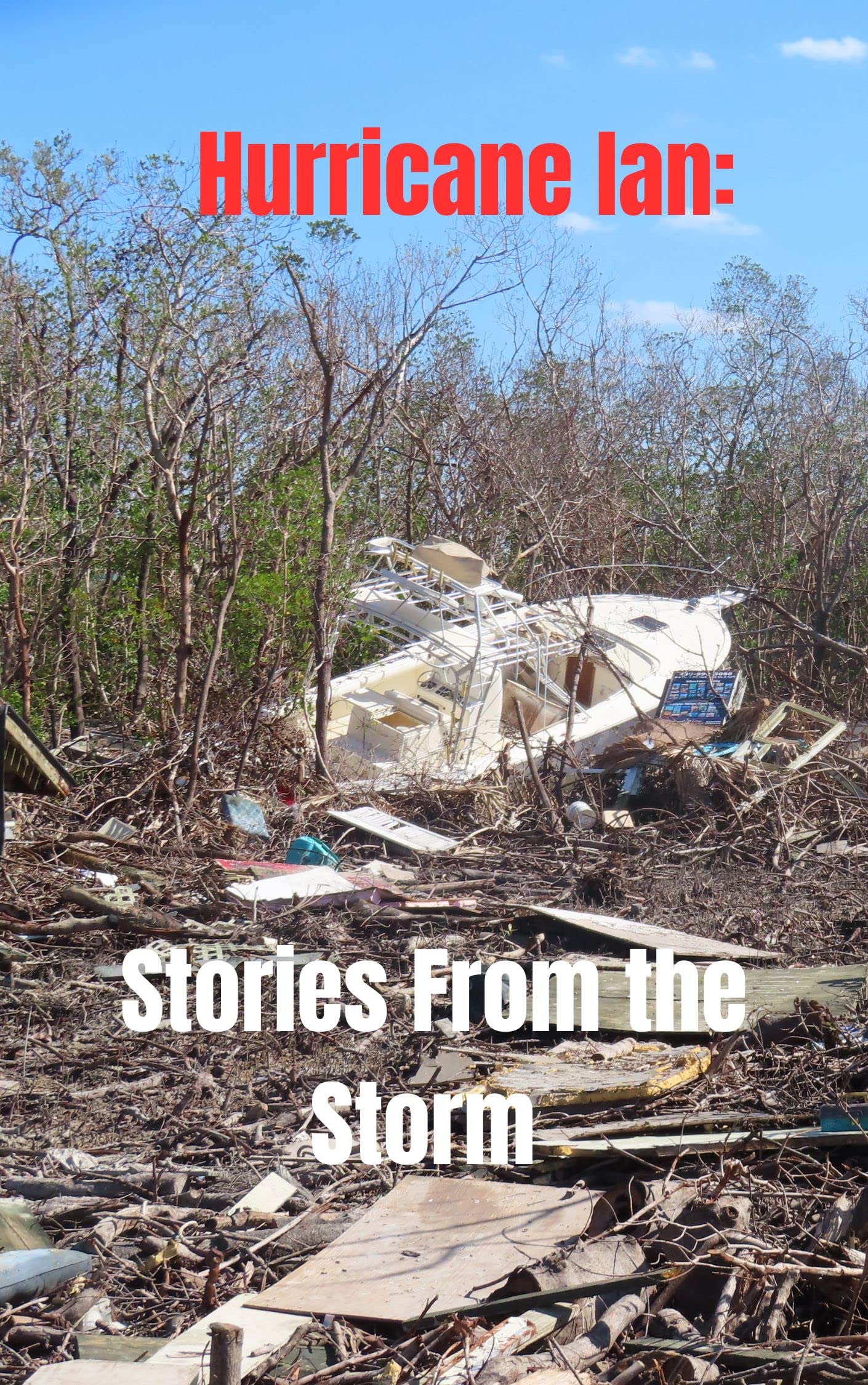 Hurricane Ian: Stories from the Storm by Roy Santoro | Goodreads