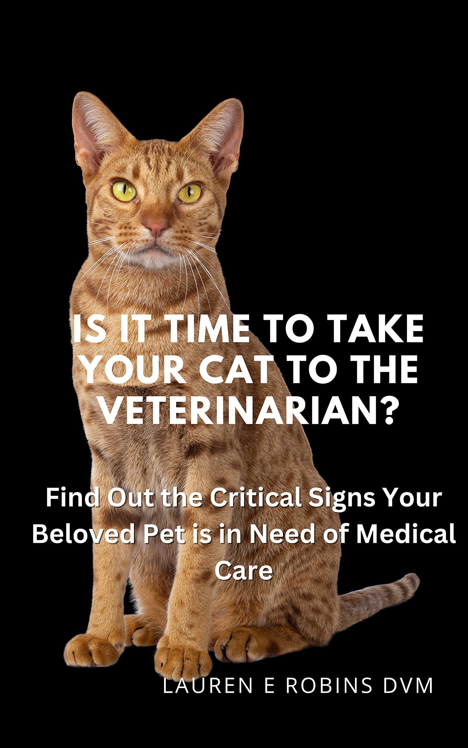 Is it Time to Take Your Cat to the Veterinarian?: Find Out the Critical ...