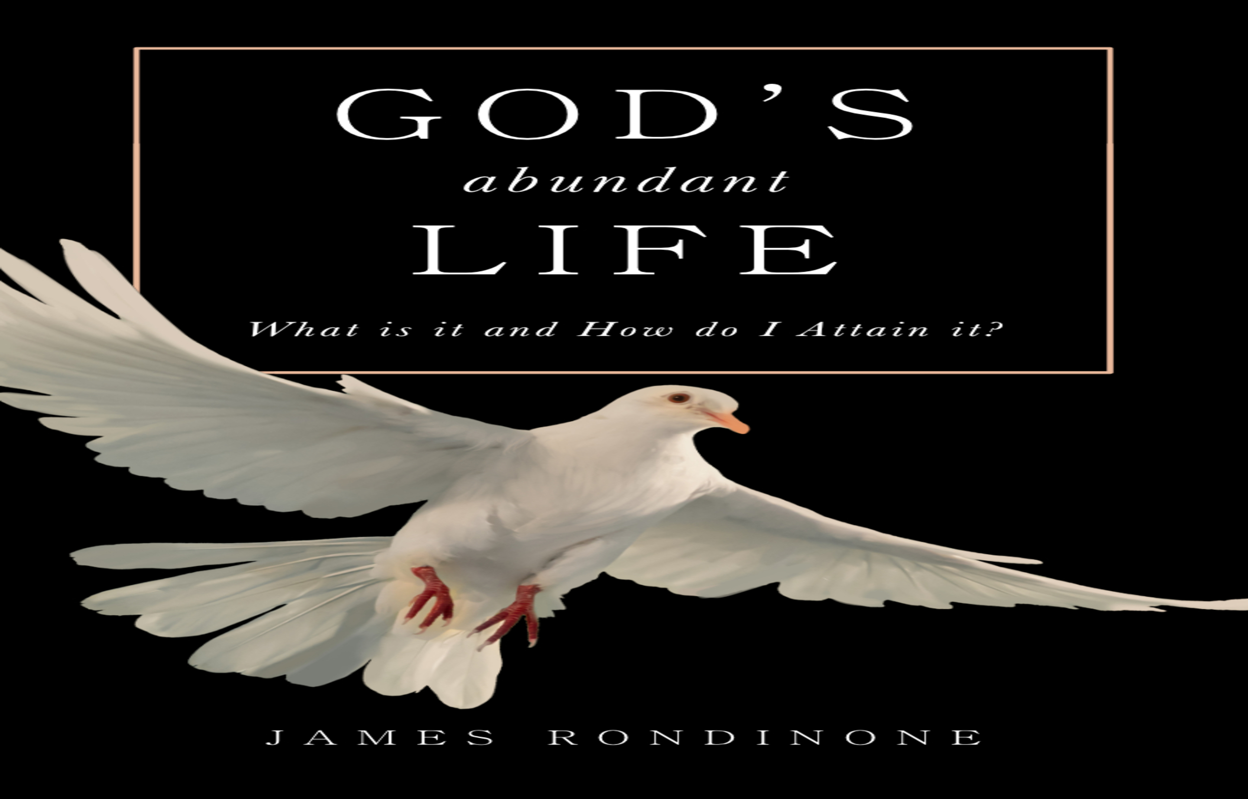 God's Abundant Life by James Rondinone | Goodreads