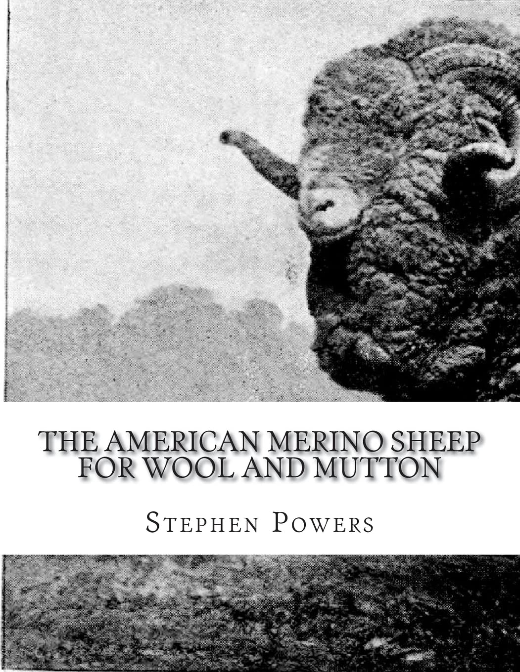 The American Merino Sheep For Wool and Mutton: The Selection, Care ...