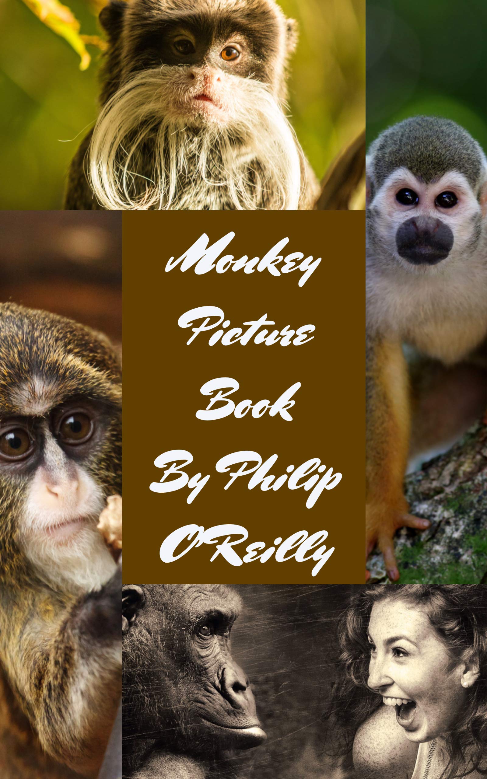 Monkey Picture Book (Picture Book Series) by Philip O'Reilly | Goodreads
