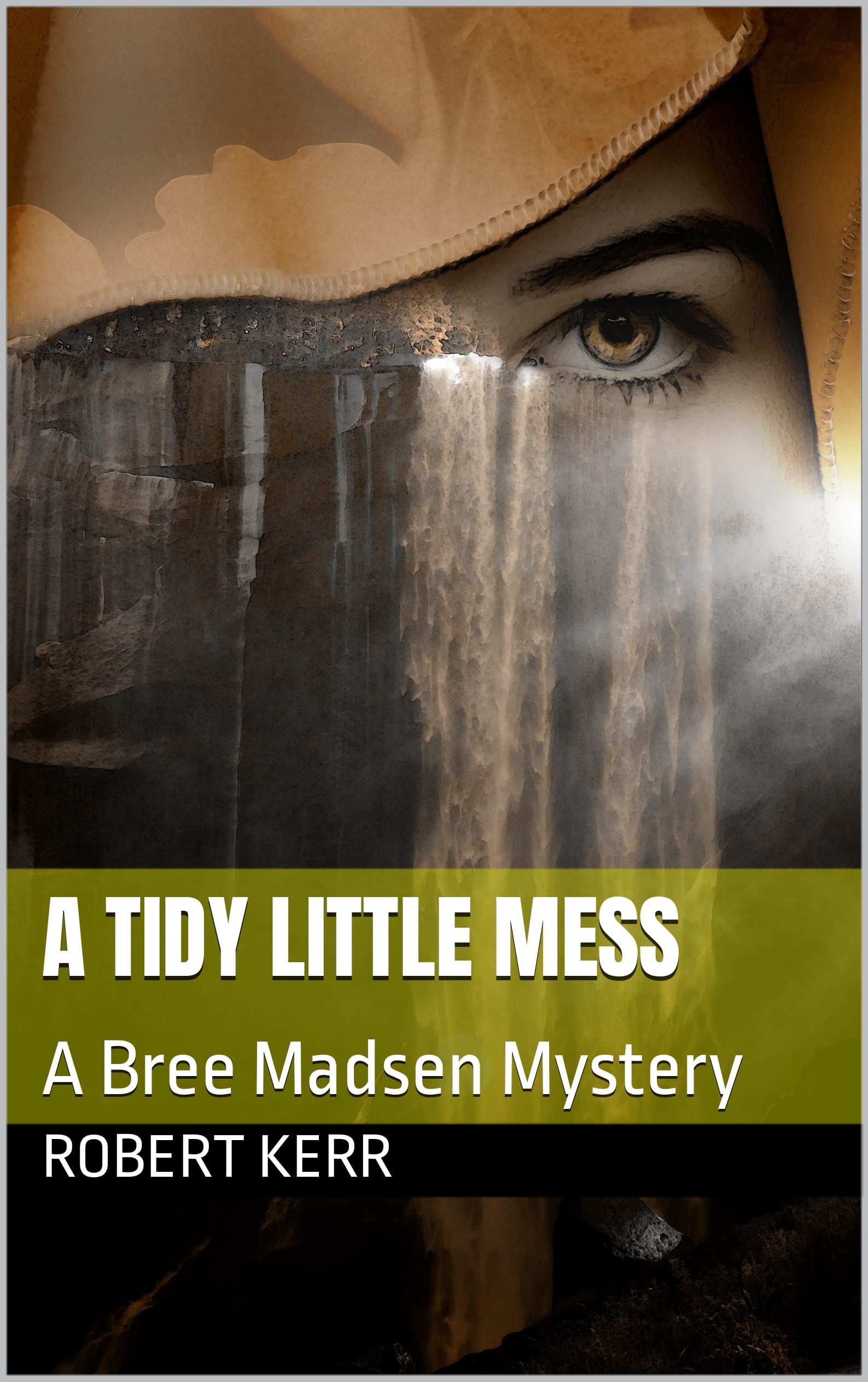 A Tidy Little Mess: A Bree Madsen Mystery by Robert Kerr | Goodreads