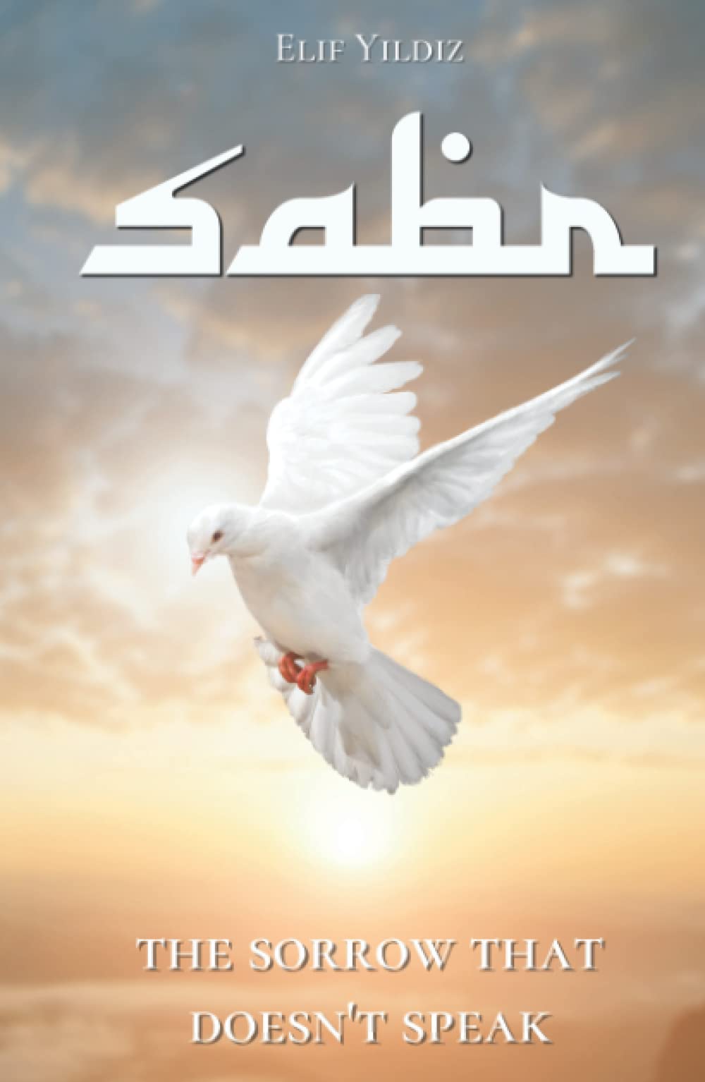 Sabr: The sorrow that doesn't speak by Elif Yildiz | Goodreads