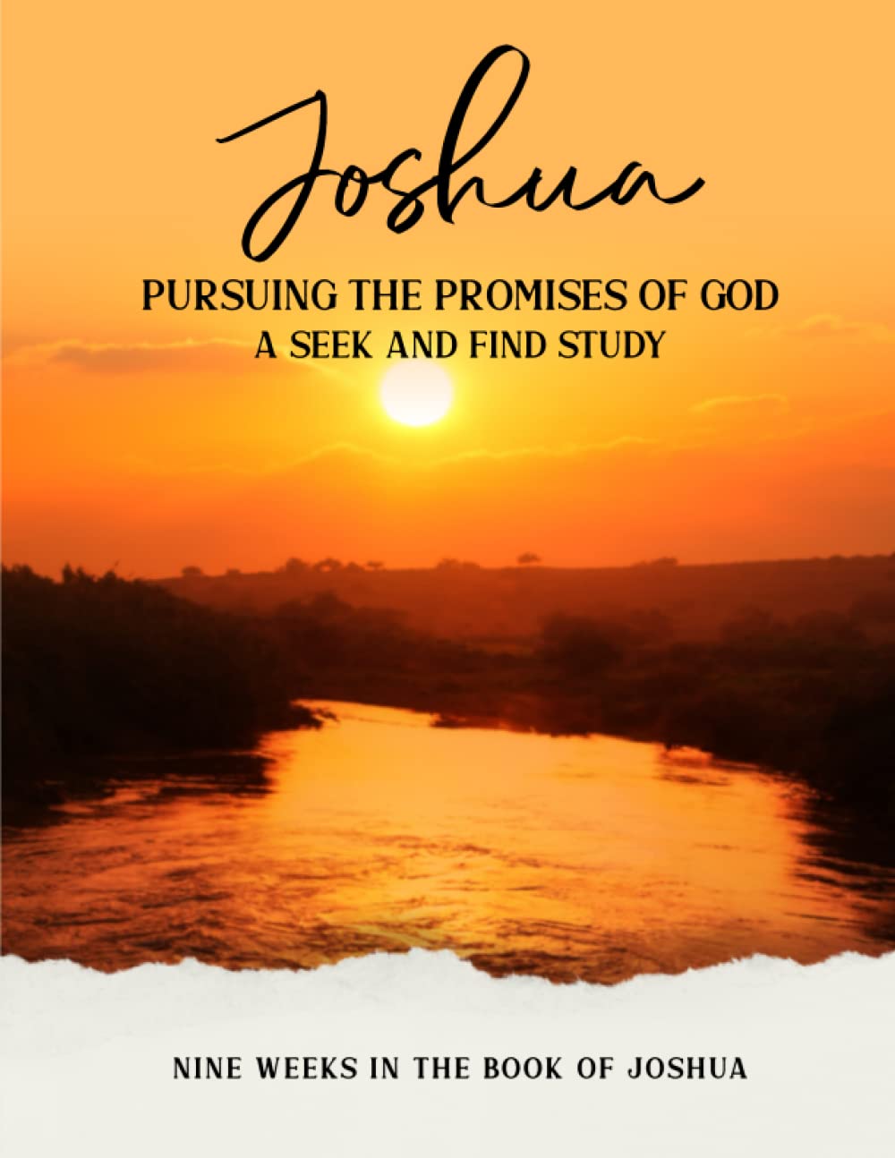 Joshua: Pursuing the Promises of God: Nine Weeks in the book of Joshua ...