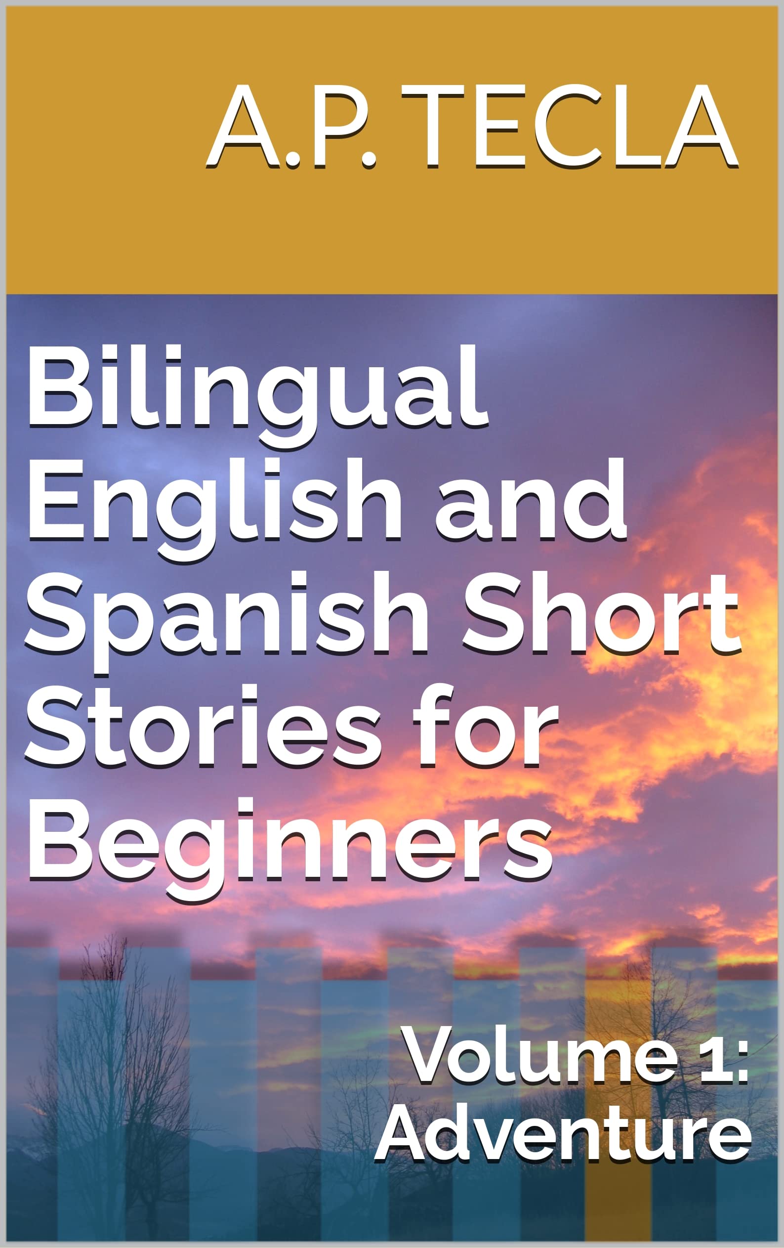 Bilingual English and Spanish Short Stories for Beginners: Volume 1 ...