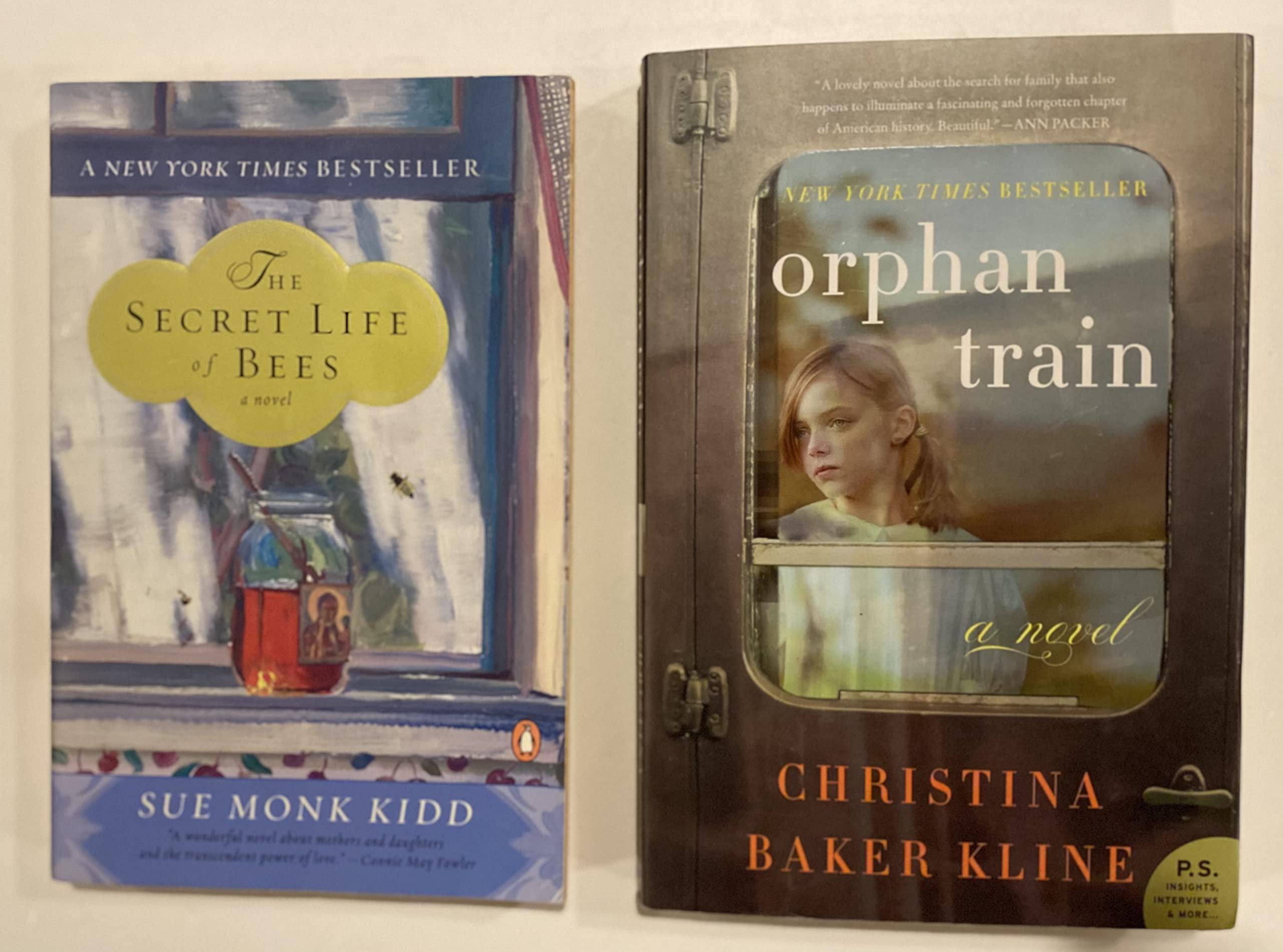2 Books! 1) The Secret Life of Bees 2) Orphan Train by Sue Monk Kidd ...