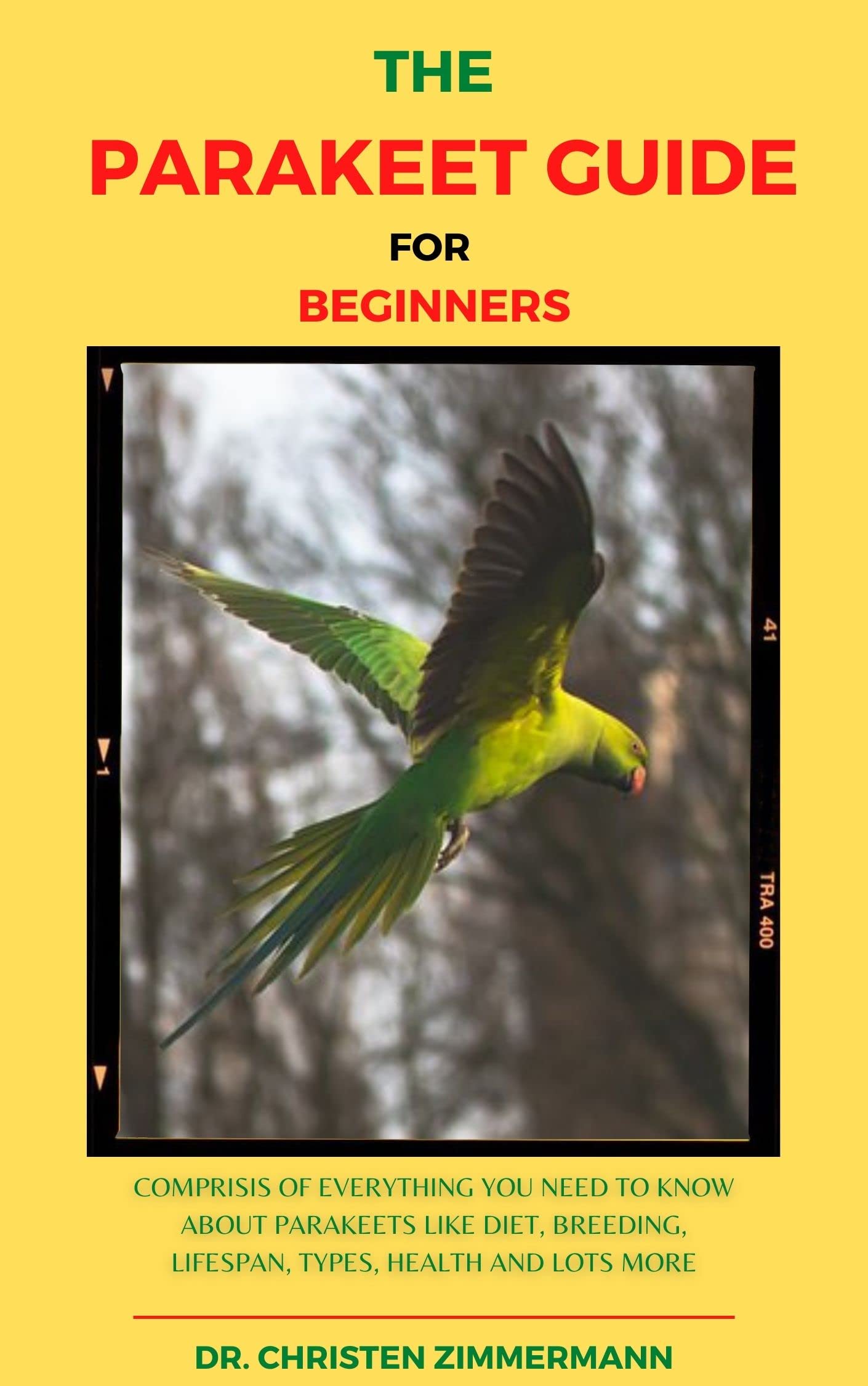 THE PARAKEET GUIDE FOR BEGINNERS: COMPRISIS OF EVERYTHING YOU NEED TO ...