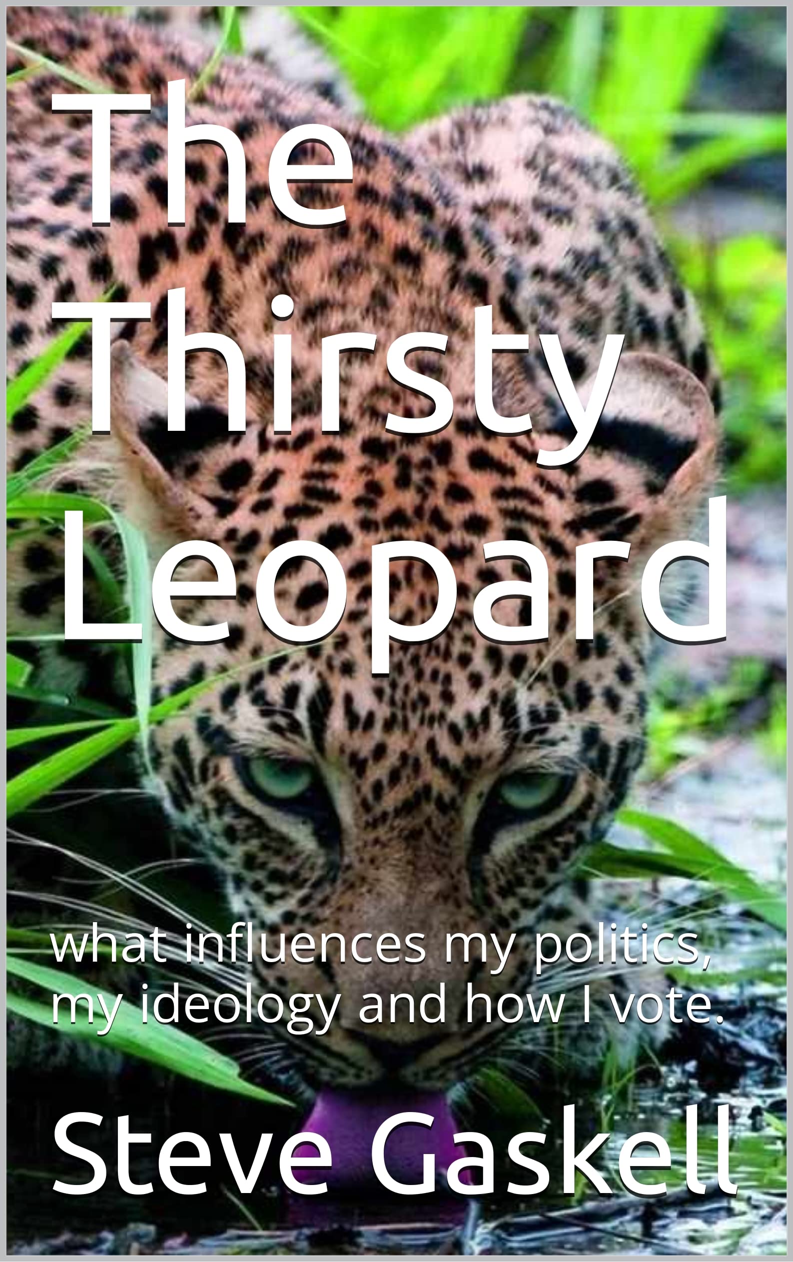 The Thirsty Leopard: what influences my politics, my ideology and how I ...