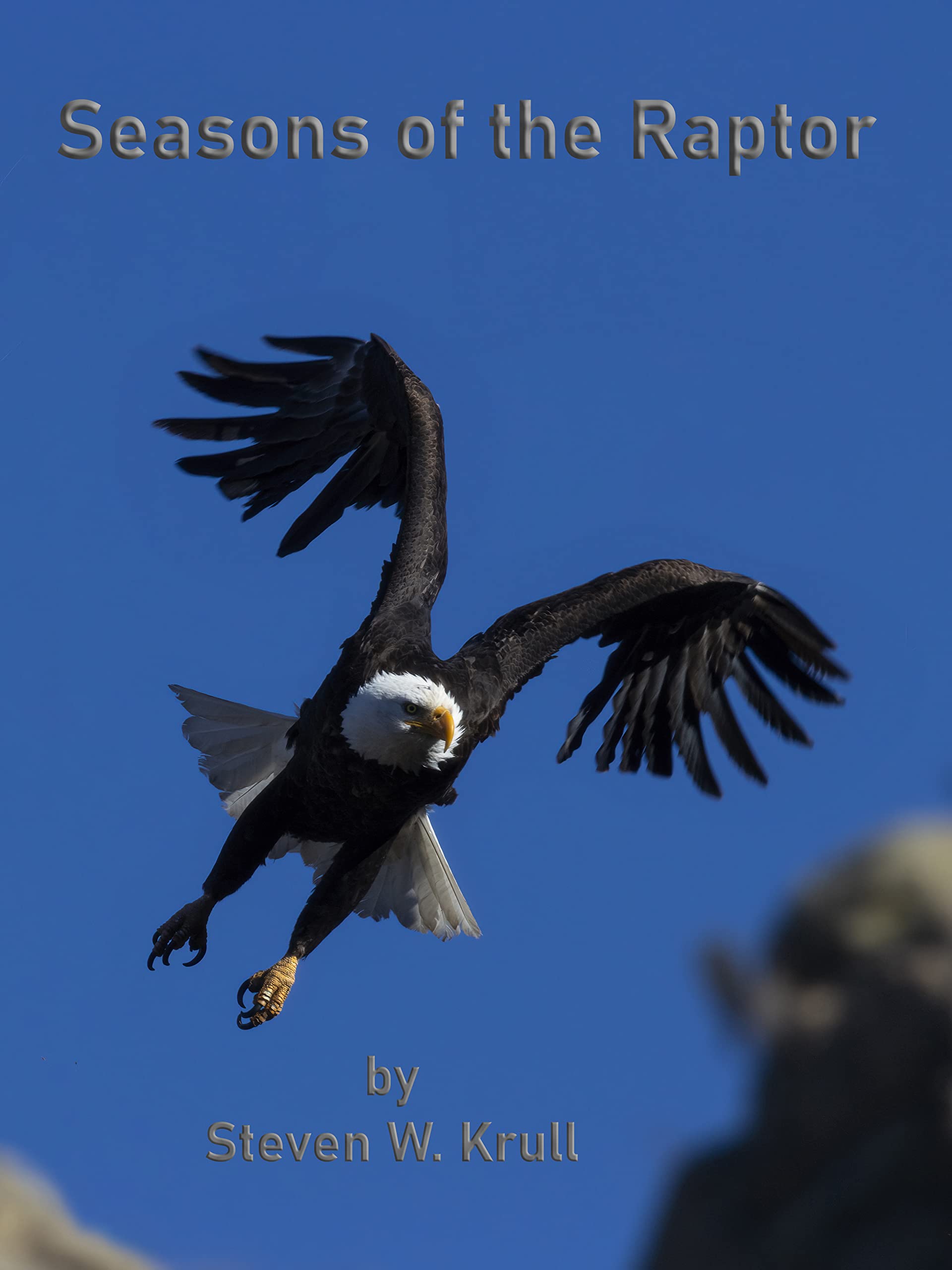 Seasons of the Raptor: One Year Photographing Colorado's Raptors by ...