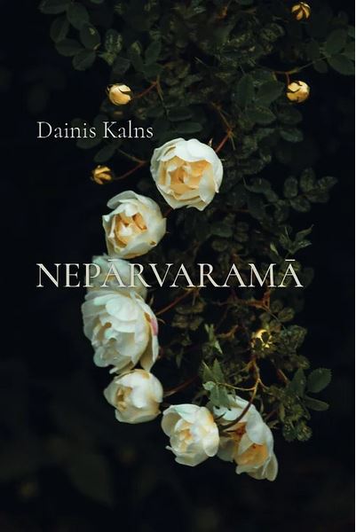 Nepārvaramā by Dainis Kalns | Goodreads