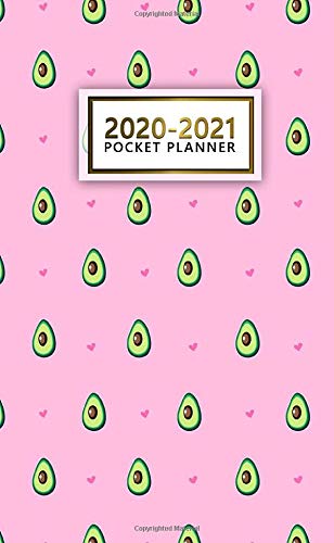 2020-2021 Pocket Planner: Cute Baby Pink Two-Year Monthly Pocket ...