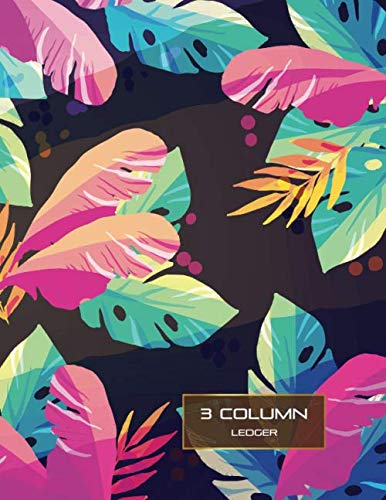 3 Column Ledger: Large Space 30 Row Easy Writing : Record Book ...