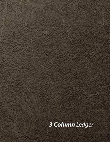 3 Column Ledger: Large Space 30 Row Easy Writing : Record Book ...
