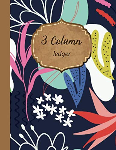 3 Column Ledger: Large Space 30 Row Easy Writing : Record Book ...