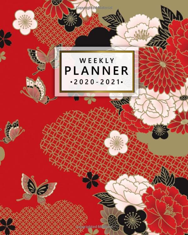 2020-2021 Weekly Planner: 2 Year Weekly & Daily View Organizer & Agenda ...