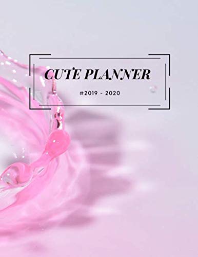 Cute Planner: 2019-2020 Cute, Smart Monthly View & Weekly Planner for ...