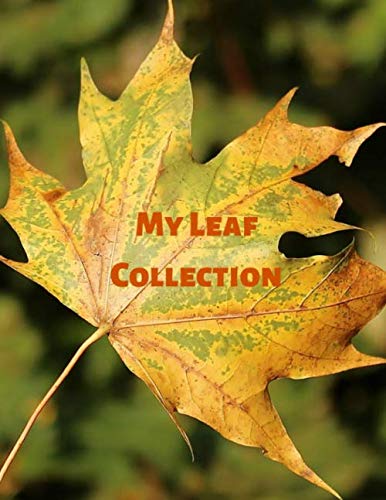 My Leaf Collection: Activity Book for Adults and Kids of All Ages in 8. ...