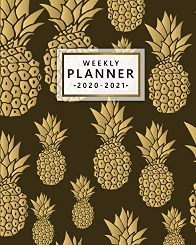 2020-2021 Weekly Planner: 2 Year Weekly & Daily View Organizer & Agenda ...