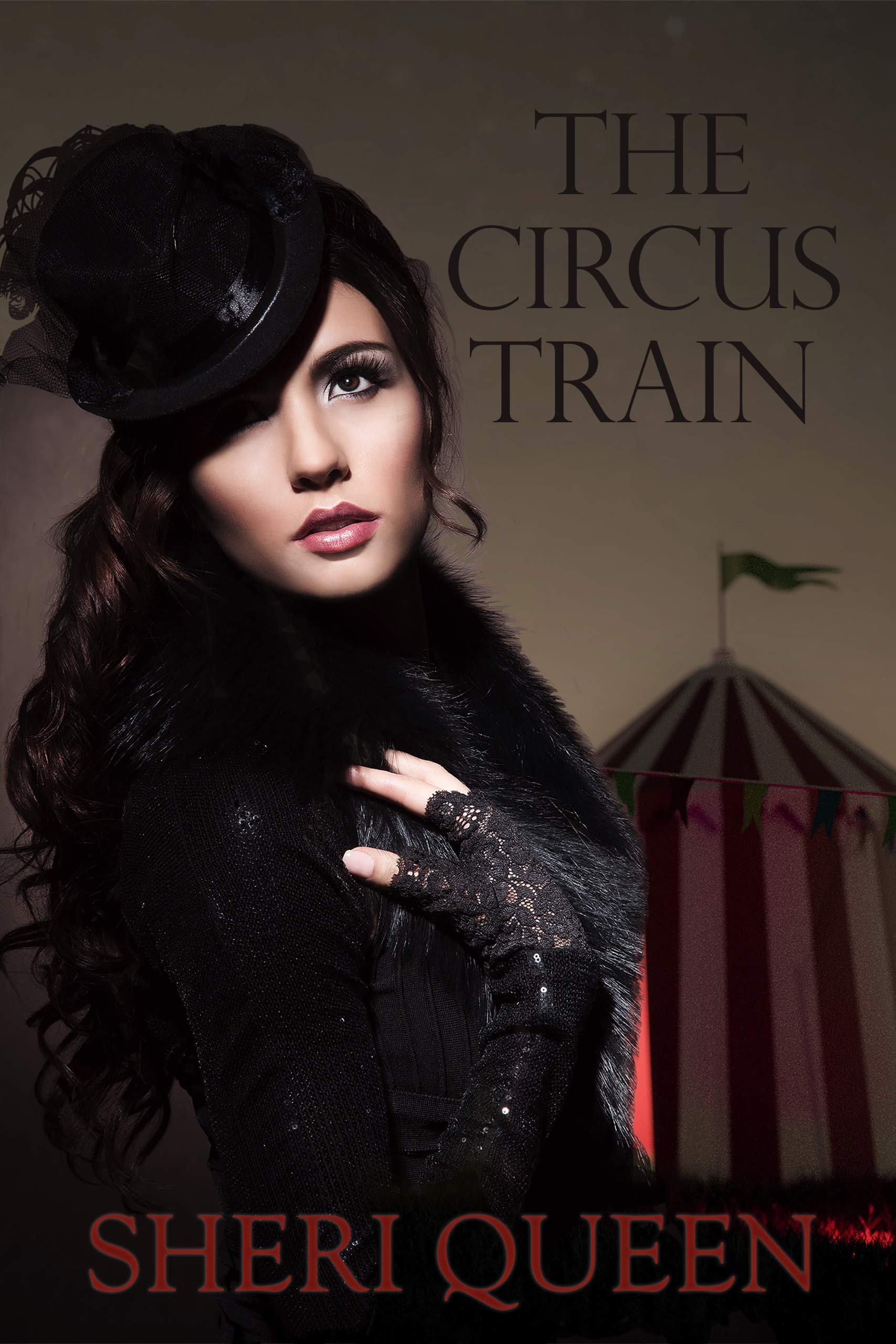 The Circus Train by Sheri Queen | Goodreads