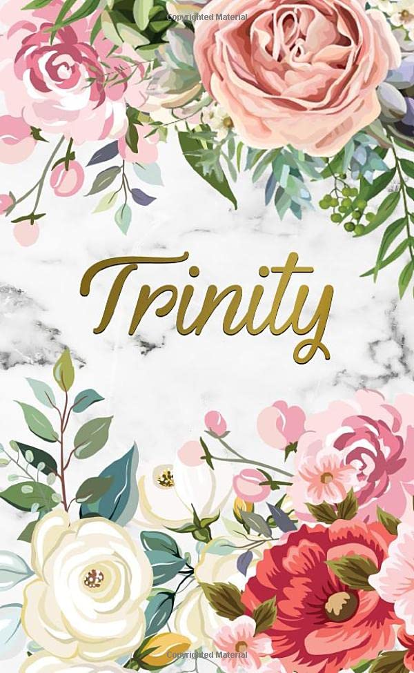 Trinity: 2020-2021 Nifty 2 Year Monthly Pocket Planner and Organizer ...