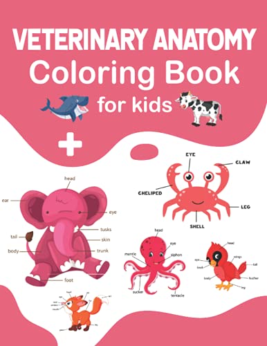 Veterinary Anatomy Coloring Book For Kids: Incredibly Detailed Self ...